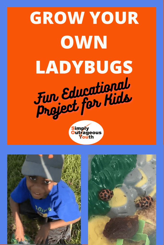 We Grew Our Own Ladybugs! | Fun Educational Project for Kids